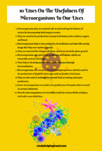 10 Lines On The Usefulness Of Microorganisms In Our Lives
