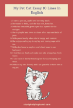 My Pet Cat Essay 10 Lines In English